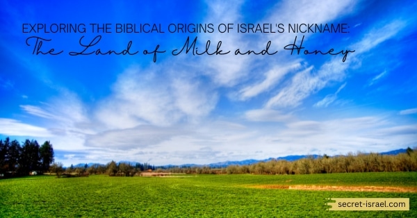 Exploring the Biblical Origins of Israel's Nickname: The Land of Milk and Honey - Secret Israel